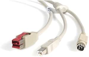 Amazon.com: StarTech.com 24V to 2x4 Powered USB Cable - 3 Feet ...