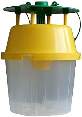 IPM Direct Box Tree Caterpillar Moth Trap - Includes 3 Pheromone Lures ...