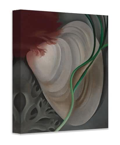 Amazon.com: Shell No. 2 by Georgia O'Keeffe American Abstract Art - Oil ...