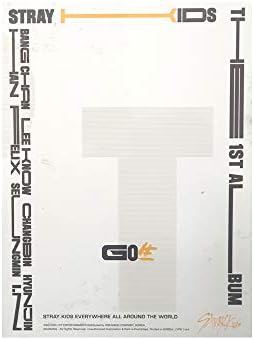 STRAYKIDS SKZ : GO LIVE 1st Album (B Type) Standard Version CD-R ...