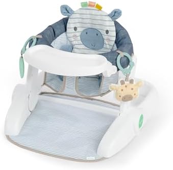 Amazon.com: Summer Infant Learn-to-Sit 2-Position Floor Seat (Heather ...