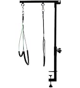 Amazon.com: Breeze Touch Dog Grooming Table Arm - Overhead Pet Grooming ...