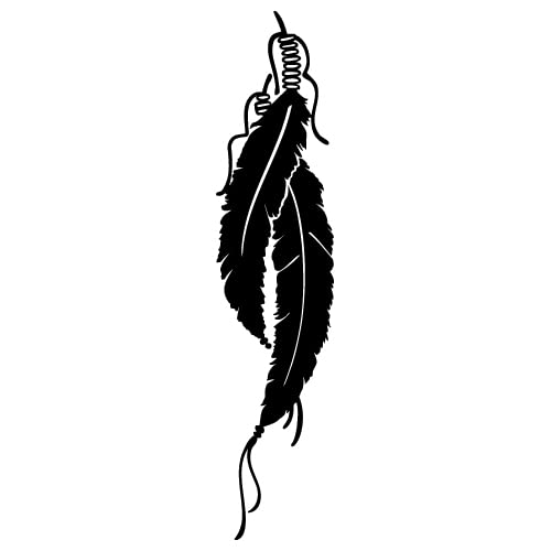 Amazon.com: Indian Feather Vinyl Decal Sticker (IF-01) : Automotive