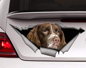 Springer Spaniel car Decal, Dog car Decal, Spaniel car Sticker Vinyl ...