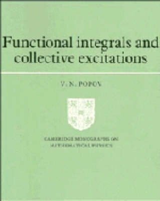 Functional Integrals and Collective Excitations (Cambridge Monographs on Mathematical Physics ...