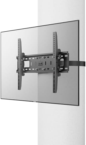 Amazon.com: ZeboZap ZZTVA2044 DIY Gazebo TV Mount | No Drill Full ...
