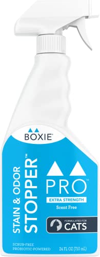 Boxiecat – The 15 best products compared - Wild Explained