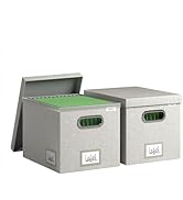 Amazon.com: GRSQYS File Organizer Box File Boxes for Hanging Files with ...