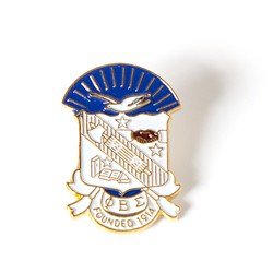 Buy Phi Beta Sigma 3D Color Shield Pin, Metal Brass at Amazon.in