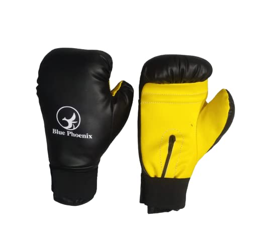 Buy Blue Phoenix Boxing Glove for Boys and Girls Best Punching Bag ...
