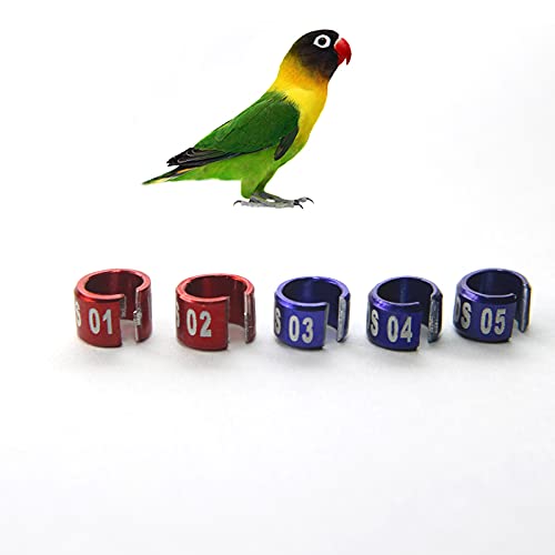 TVEL® -African Love - Bird Ring | 5mm - Birds Ring | African Love Birds ...