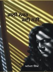 Gali Number Koi Nahi: Aneman Singh: 9788171421978: Amazon.com: Books