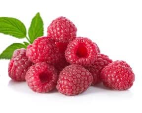 Amazon.com: Fresh Frozen Organic Heirloom Raspberries by Northwest Wild ...