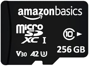 Amazon.in: Buy amazon basics 256Gb Microsdxc Memory Card with Full Size ...