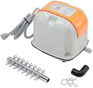 Amazon.co.jp: AP-120F（16方分岐装置付き）安永エアポンプ 浄化槽 エアーポンプ ブロア : ペット用品