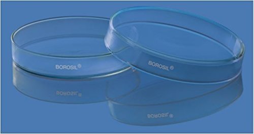 Borosil 3160077 Culture and Petri Dish : Amazon.in: Industrial & Scientific