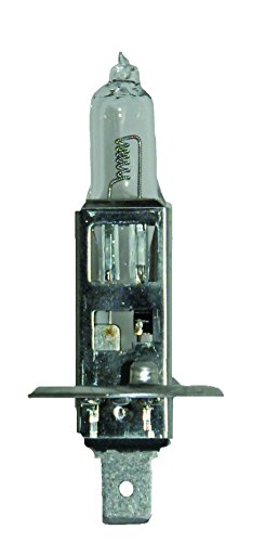 Snapklik.com : HELLA H1 24V DP Double Power Bulb