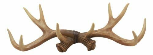 Top 10 Best Black Rack Rattling Antlers : Reviews & Buying Guide - Katynel