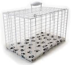 Amazon.com: Wire Carrier Rectanglar Large 48x30x30cm (19x12x12")