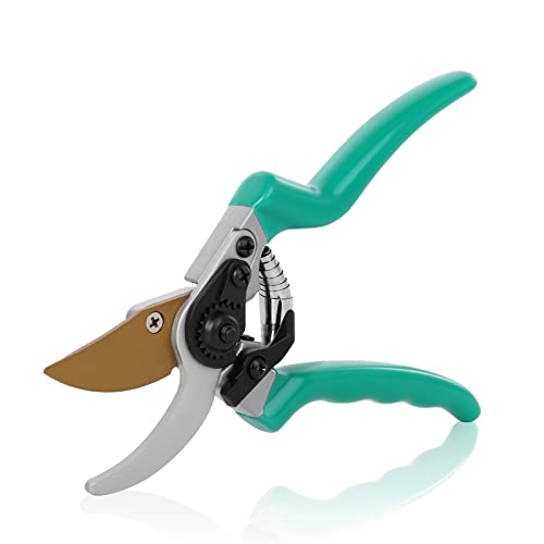 Top 10 Single Handed Garden Shears of 2022 - Katynel