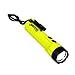 Nightstick XPP-5422GMX X-Series Intrinsically Safe Dual-Light ...