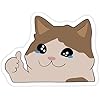 Amazon.com - (3Pcs) Crying Cat Meme sad cat Funny Vinyl Waterproof ...