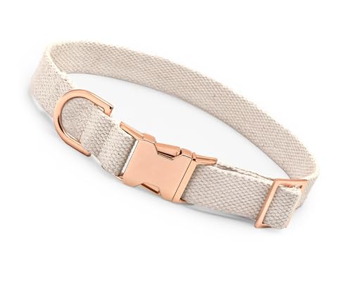 Rose Gold Dog Collar – The 15 best products compared - Wild Explained