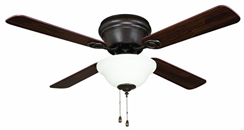 Best Litex Ceiling Fans: Elevate Your Home's Style and Comfort ...