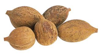 Urancia® 100% pure Organic Baheda Terminalia Belerica Beleric Myrobalan ...