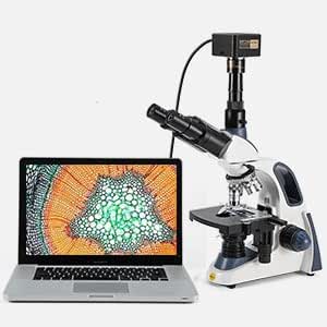 Amazon.com: Swift SW350T Compound Trinocular Microscope,40X-2500X ...