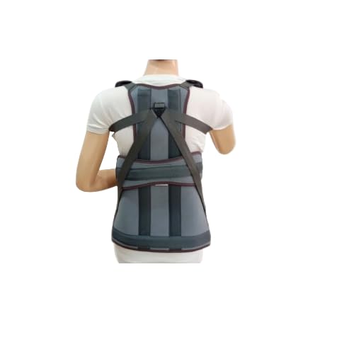 Buy BRODY | Taylor Brace Waist Support Belt | Support Belt For Back ...