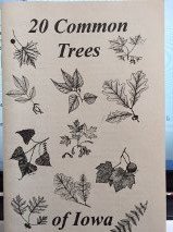 20 Common Trees of Iowa | Amazon.com.br