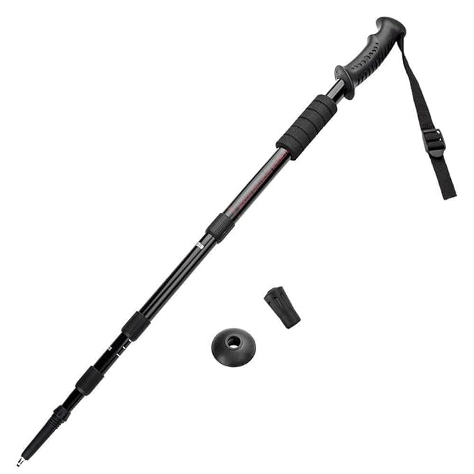 Rilekh Trekking Hiking Camping and Climbing Stick or Pole with ...