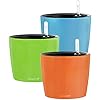Amazon.com : 7 inch Round Self Watering Planter with Water Level Gauge ...