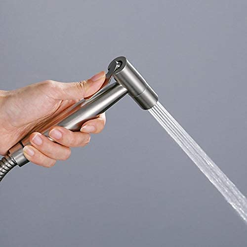 Stainless Steel Heavy Duty Health Faucet,1pc Gun Only, Brushed Finish ...