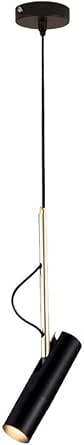 LED Pendant Spotlight Drop Ceiling Accent Spot Lighting Indoor, Modern ...