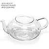 Amazon.com | Primula Daisy Borosilicate 40oz Glass Teapot with Glass ...