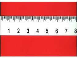 Amazon.com: Low Vision Ruler : Health & Household
