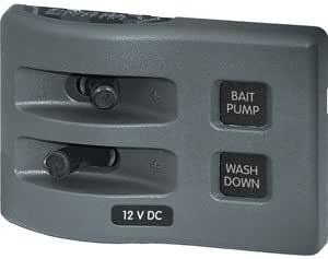 Amazon.com: Blue Sea Systems Switch Panel WD 12VDC 2 POS : Automotive