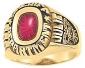 Amazon.com: Ladies' Patriot Police Ring - Golden Siladium: Jewelry ...