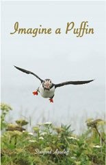 Imagine a Puffin: Stanford Apseloff: 9781936772056: Amazon.com: Books