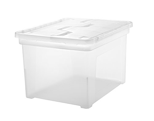 IRIS Letter/Legal Size Wing Lid File Box, Clear : Amazon.in: Home & Kitchen
