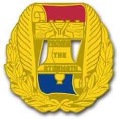 Amazon.com: United States Army Recruiting Command Unit Crest Patch ...