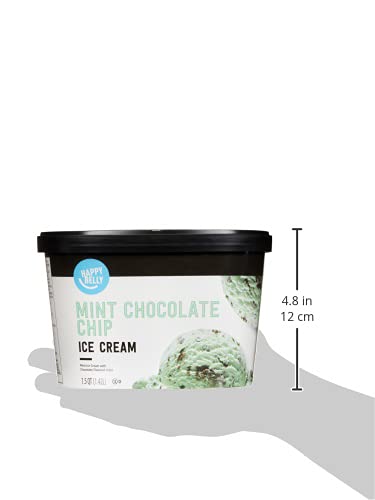 Marca Tienda Helado con chispas de chocolate Happy Belly Mint ...