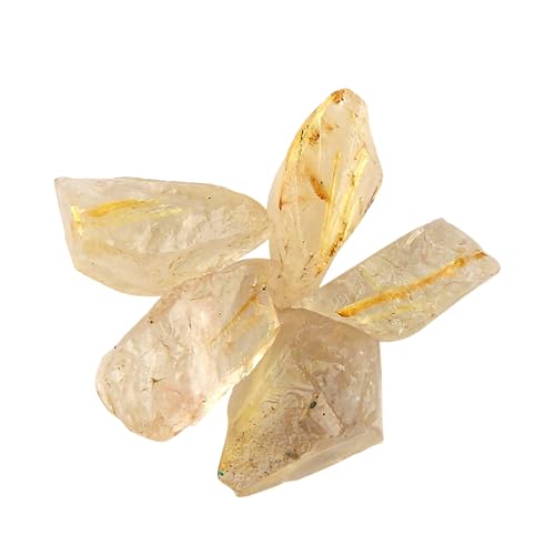 Amazon.com: CRYSTALINES 5pcs Natural Raw Golen Rutile Quartz Gemstones ...