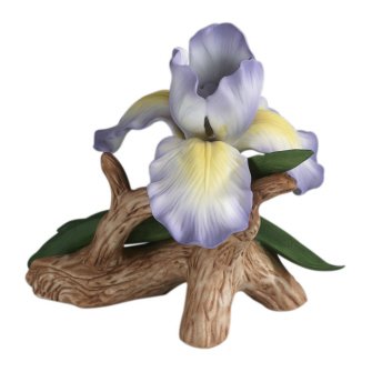Andrea by Sadek Beautiful Purple Mere Iris Flower, Retired : Amazon.in ...
