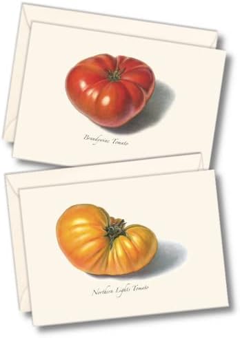 Amazon.com : Earth Sky + Water - Tomato Assortment Notecard Set - 8 ...