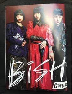 Amazon.co.jp: BiSH BOOK 写真集ロッキング・オン・ジャパン 2021年9月号付録 バックナンバー 未読品 音楽 ロック : おもちゃ