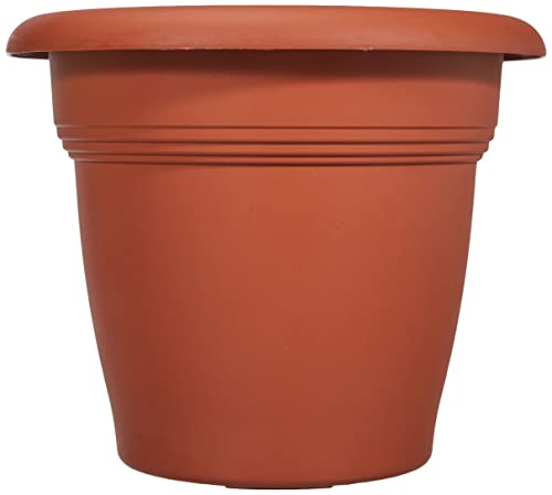 Macetas gigantes para exterior ⭐ Tiestos grandes para árboles