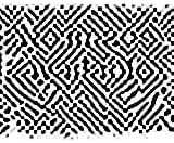 Amazon.com: Xircom RealPort Ethernet 10/100 - Network adapter - PC Card ...